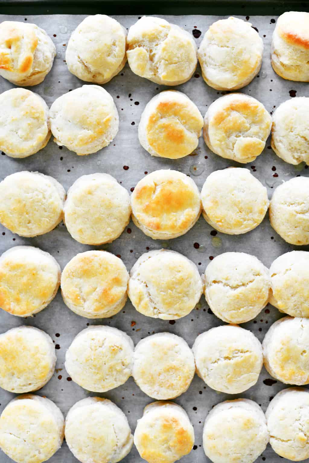 Mini Biscuits - The Gunny Sack