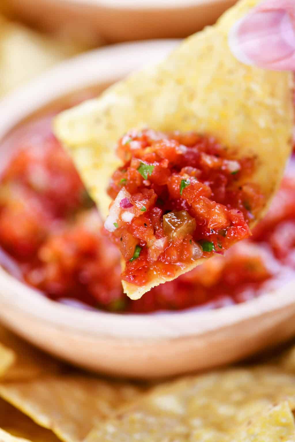 Salsa Recipe - The Gunny Sack