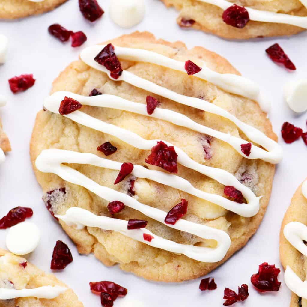 White Chocolate Cranberry Cookies - The Gunny Sack