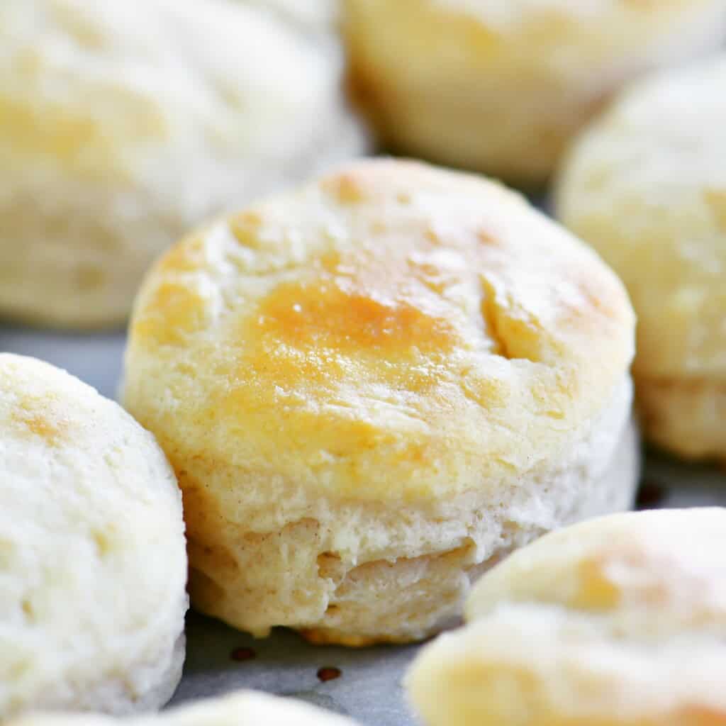 Mini Biscuits - The Gunny Sack